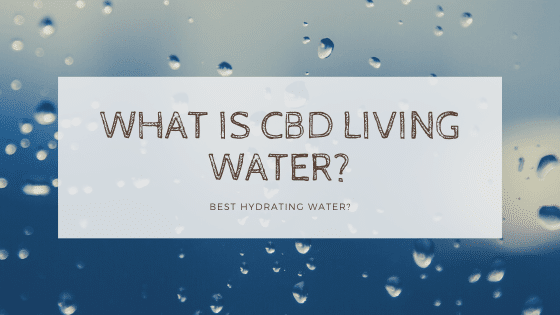 What Is CBD Living Water? Best Hydrating Water EVER?